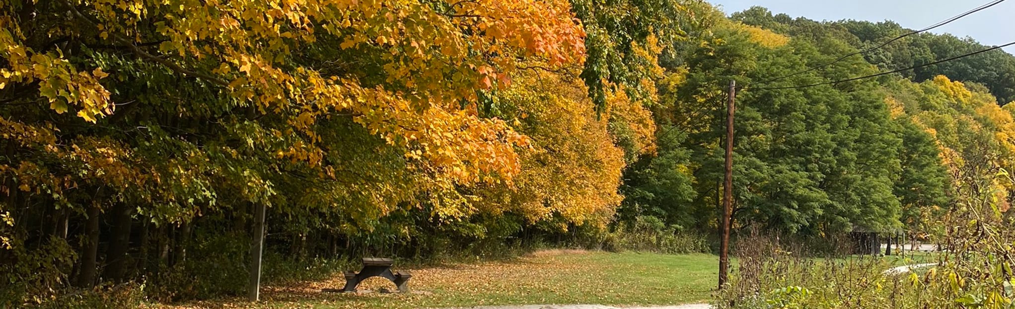 Furnace Run and Valley Bridle Trail, Ohio - 190 Reviews, Map | AllTrails