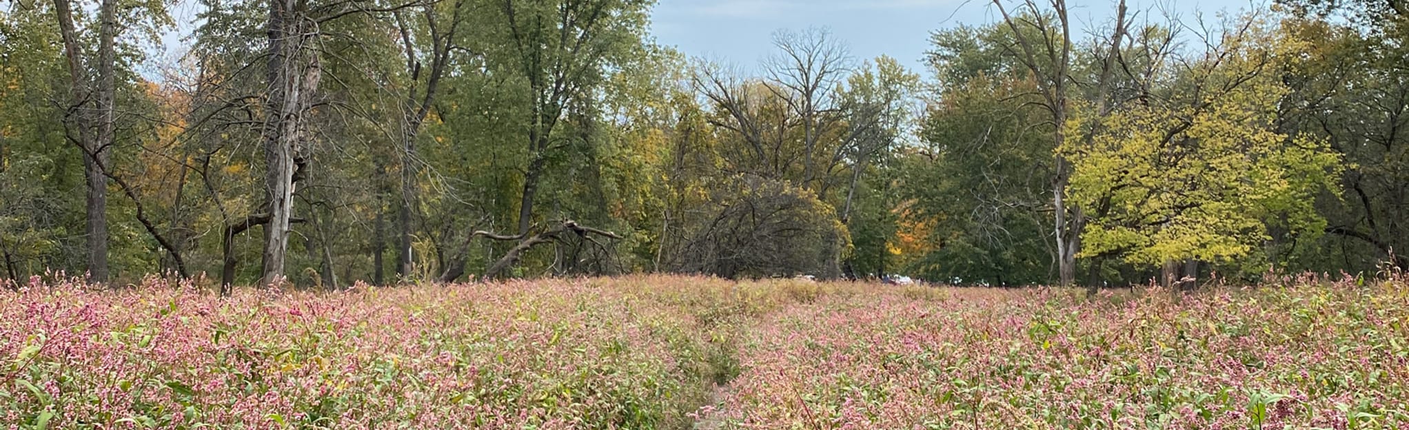 Trailside Museum and Thatcher Woods Hiking Trail, Illinois - 48 Reviews ...