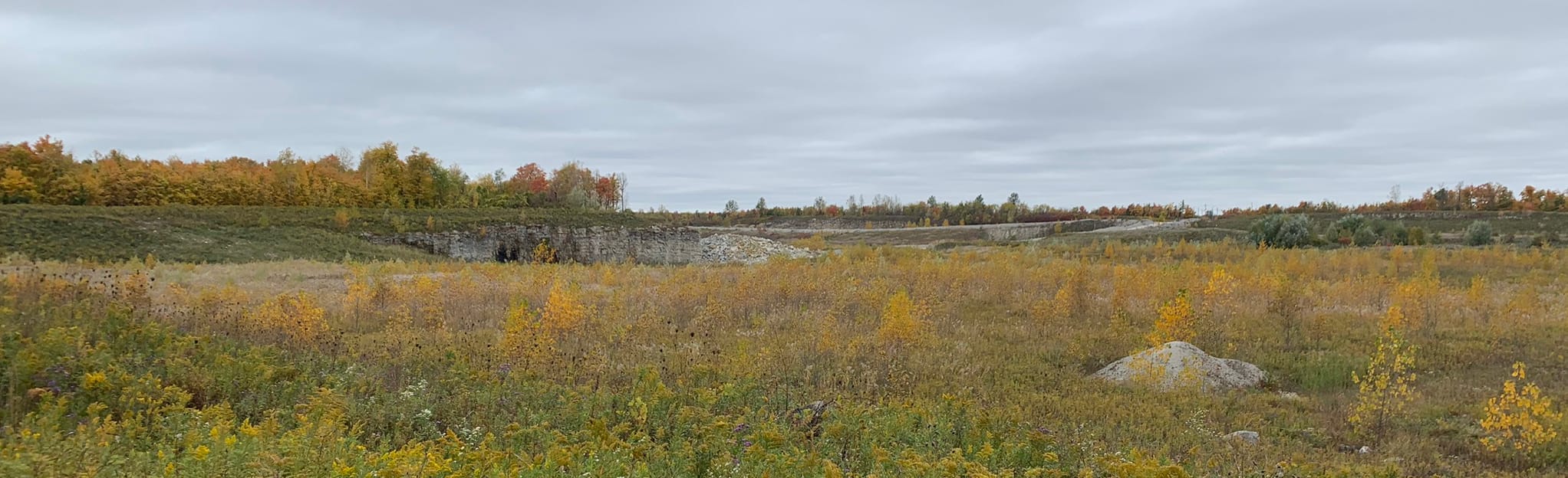 Acton Quarry via Canada Goose Side and Bruce Trails: 73 Reviews, Map ...