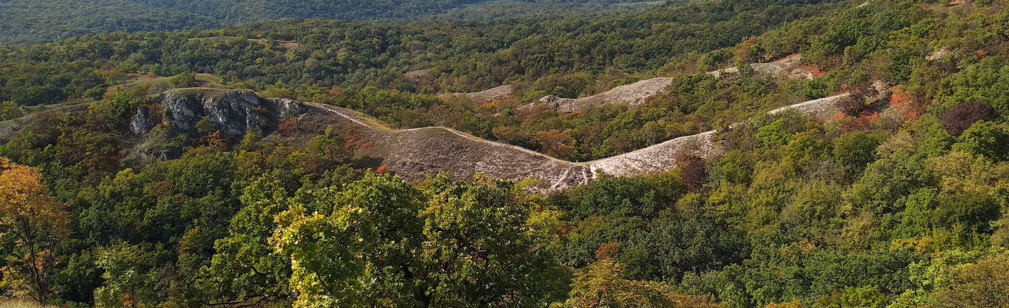 Csákvár - Alcsútdobozi Arboretum - Csaplár Forest | Map, Guide - Fejér ...