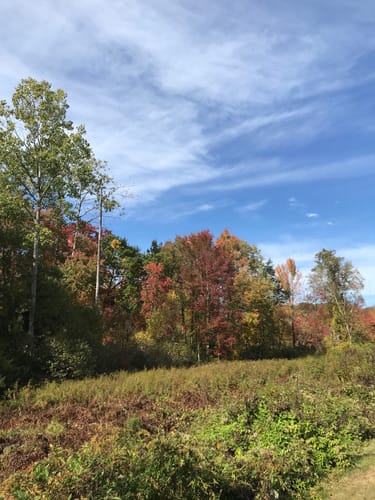 Best Hikes and Trails in Valley Falls Park | AllTrails