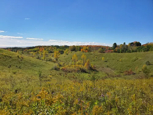 10 Best Hikes and Trails in Durham Regional Forest | AllTrails