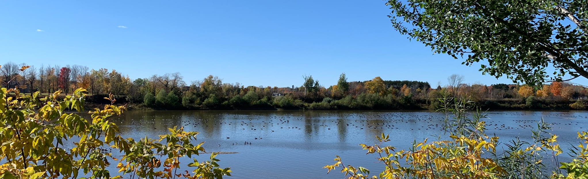 Cycle Path from Scott to Vallée-Jonction: 10 Reviews, Map - Quebec ...