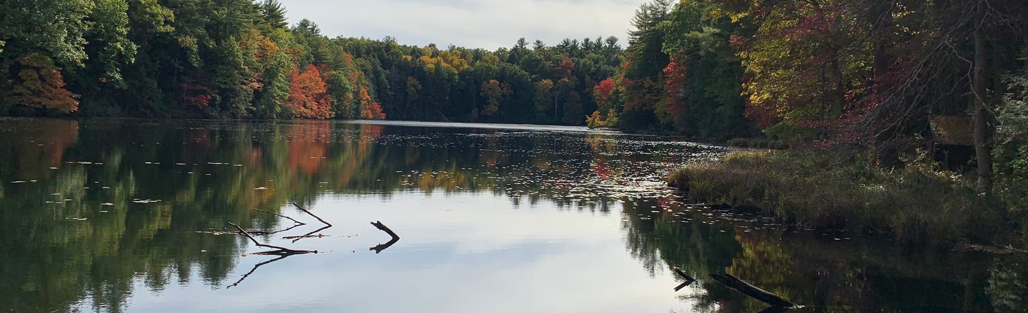 Spring Pond Loop | Map, Guide - Connecticut | AllTrails