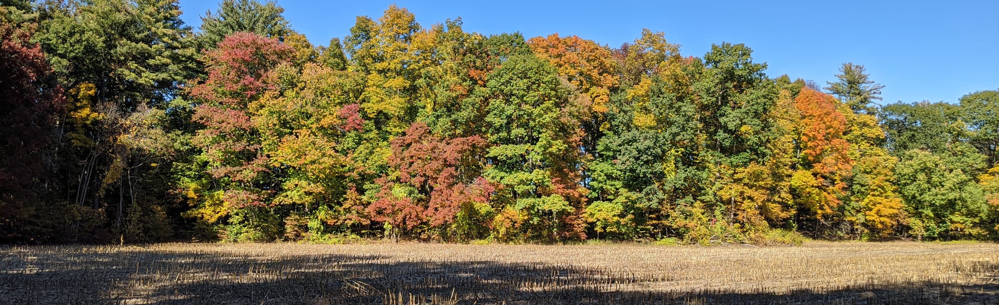 Souhegan River Trail, New Hampshire - 64 Reviews, Map | AllTrails