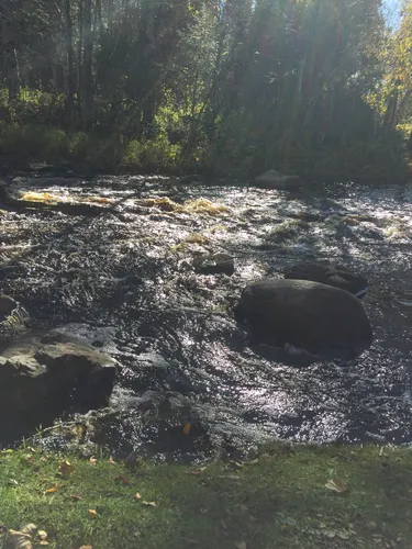 2023 Best Forest Trails in Lyster | AllTrails