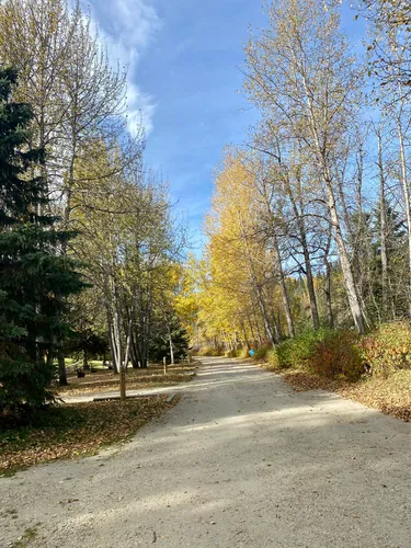 Best Hikes and Trails in Pembina River Provincial Park | AllTrails