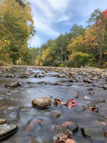 Best 10 Hiking Trails in Steep Rock Preserve | AllTrails