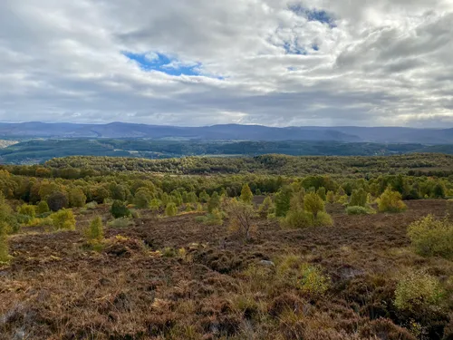 10 Best Trails and Hikes in Inverness | AllTrails