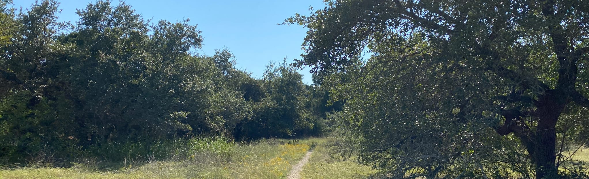 Discovery Well Cave Preserve Loop, Texas - 163 Reviews, Map | AllTrails