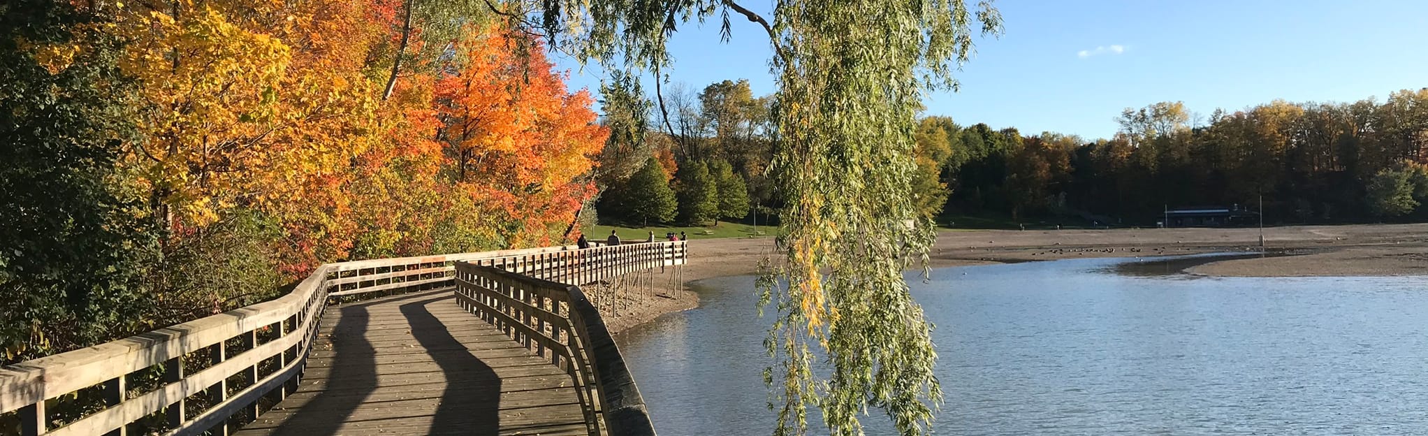 Bruce Trail: Iroquoia Section, Ontario, Canada - 99 Reviews, Map ...