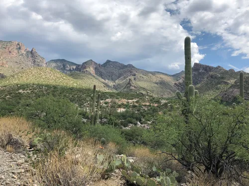 10 Best Hikes and Trails in Pusch Ridge Wilderness | AllTrails