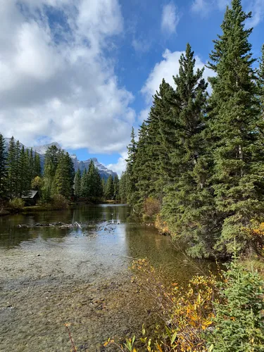 10 Best Trails and Hikes in Canmore | AllTrails