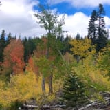 Brockway Summit to Mount Baldy Loop, California - 183 Reviews, Map ...