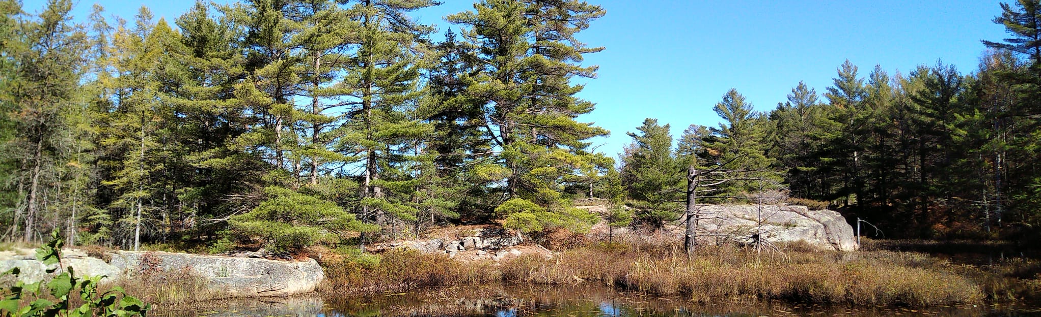 Pakeshkag Lake Trail [CLOSED], Ontario, Canada - 71 Reviews, Map ...