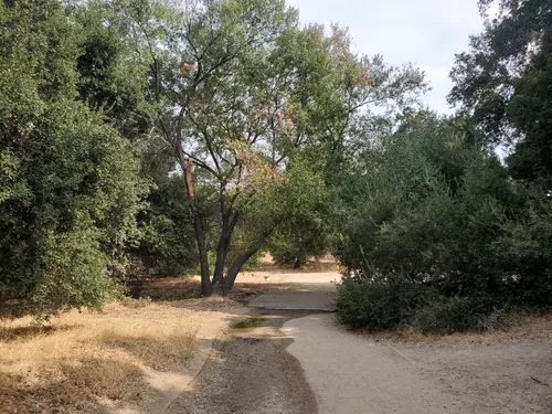 Best Hikes and Trails in Stevenson Ranch | AllTrails