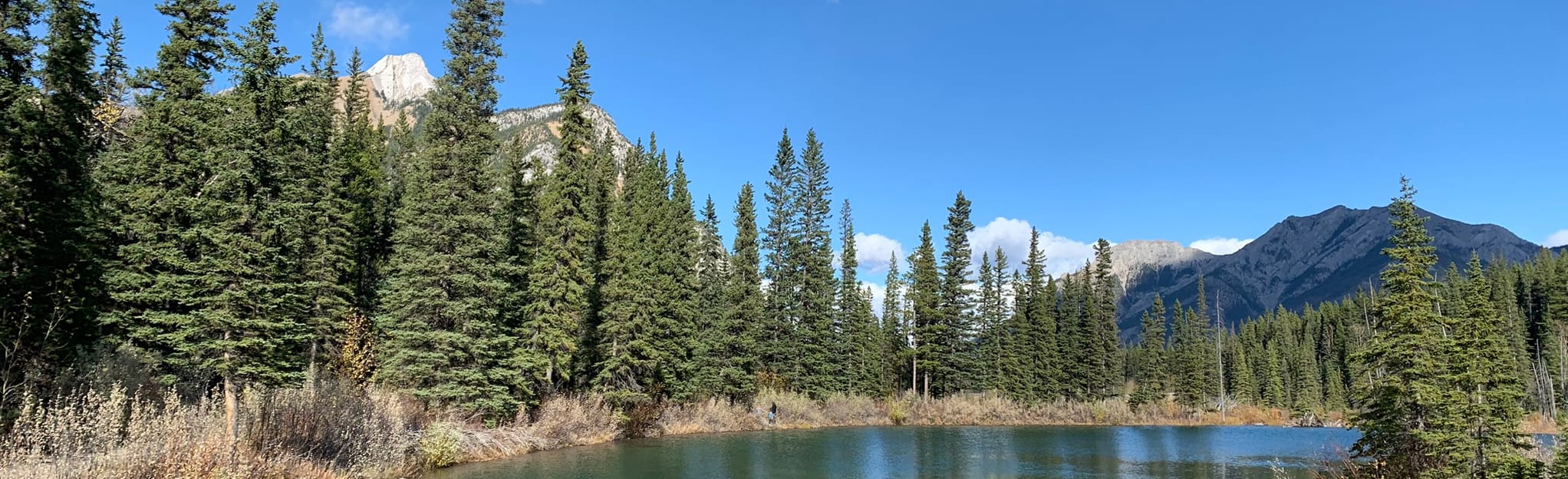 Mount Lorette Pond Trail : 131 Reviews, Map - Alberta, Canada | AllTrails