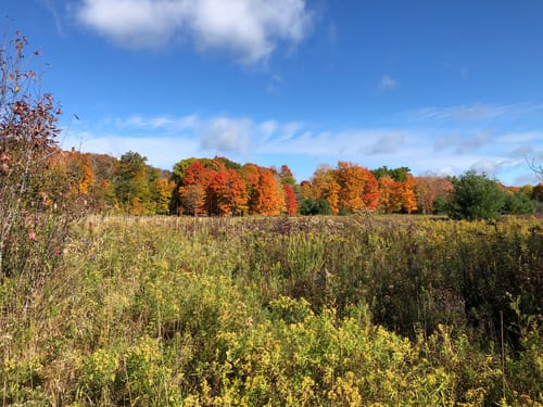 2023 Best 10 Trails and Hikes in Kingston | AllTrails