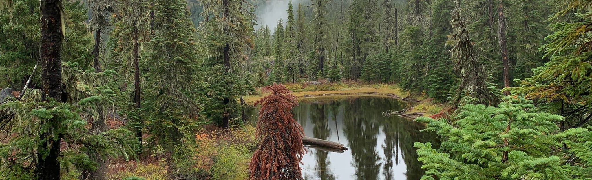 Divide Lake Trail, Oregon - 53 Reviews, Map | AllTrails