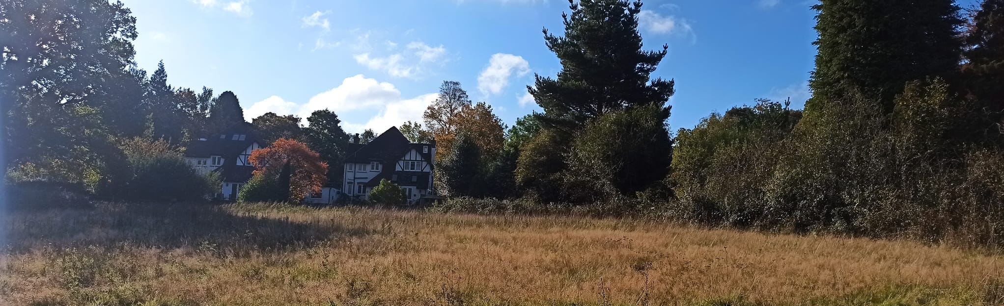 Oxted and The High Chart Circular: 42 Reviews, Map - Surrey, England ...