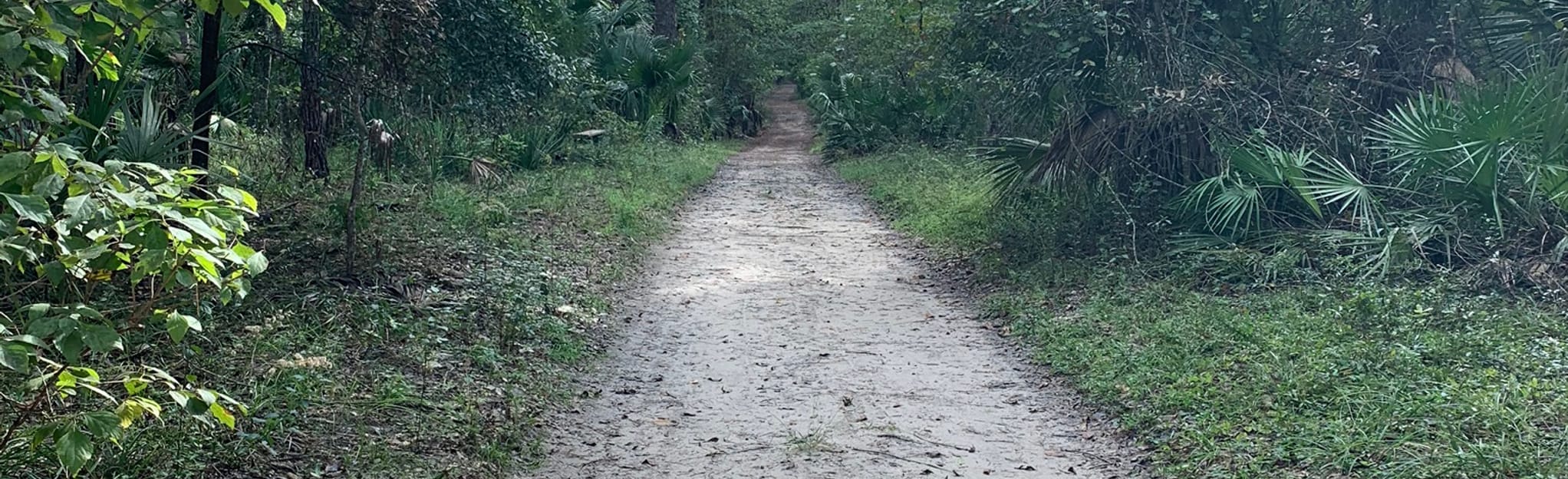 Fort King Military and Ross Allen Camp Loop, Florida - 73 Reviews, Map ...