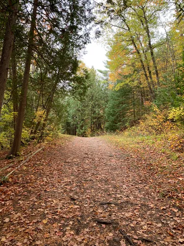 Best Bird Watching Trails in Goodrich-Loomis Conservation Area | AllTrails