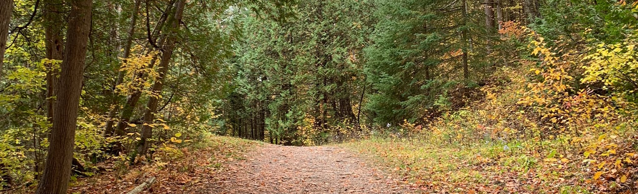 Loop D'Loop Trail, Ontario, Canada - 142 Reviews, Map | AllTrails