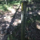Centerpoint Trail Compton, Arkansas - 68 Reviews, Map | AllTrails