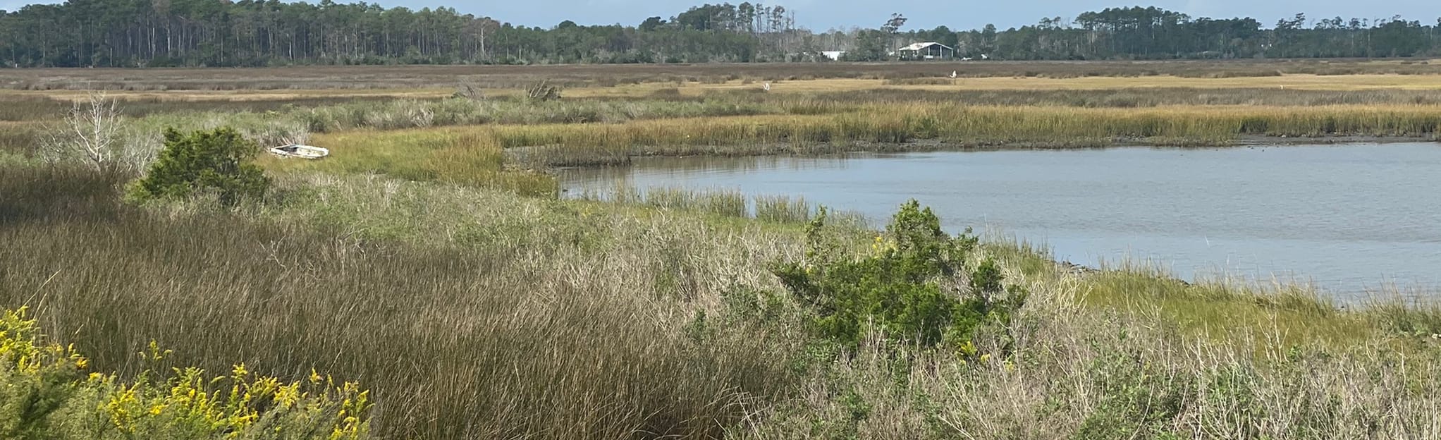 Cedar Island to Beaufort Scenic Drive, North Carolina - 12 Reviews, Map ...