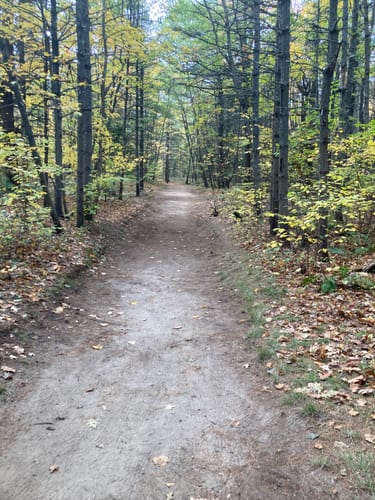 Best Hikes and Trails in Brunswick | AllTrails