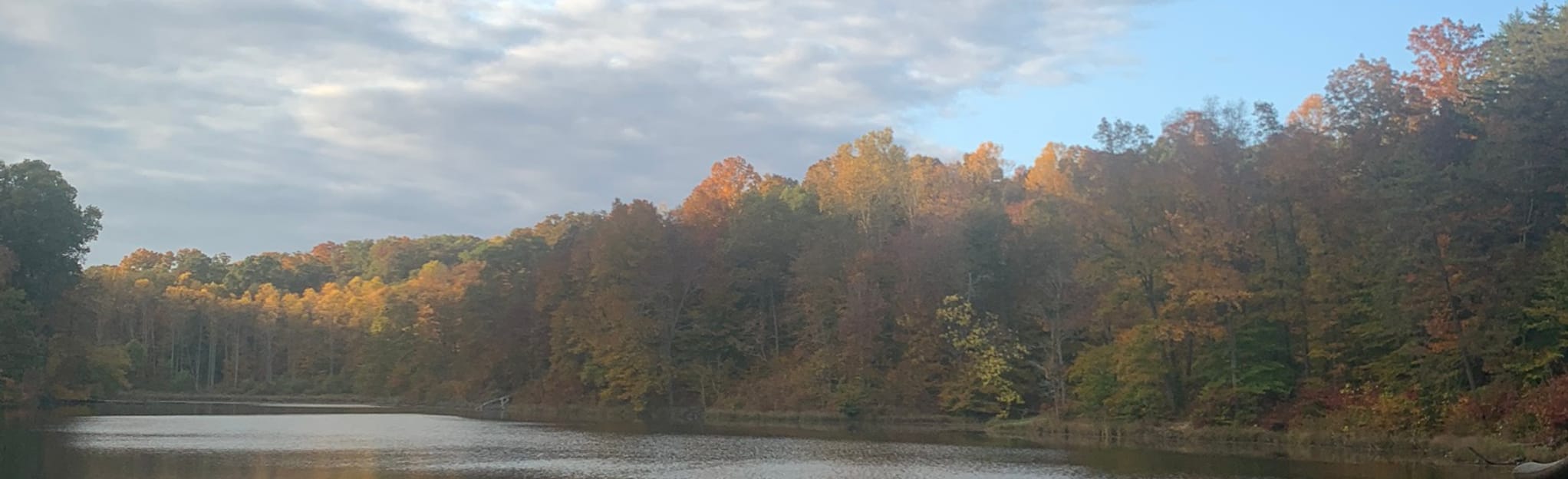 Tecumseh Trail: 313 Reviews, Map - Indiana | AllTrails