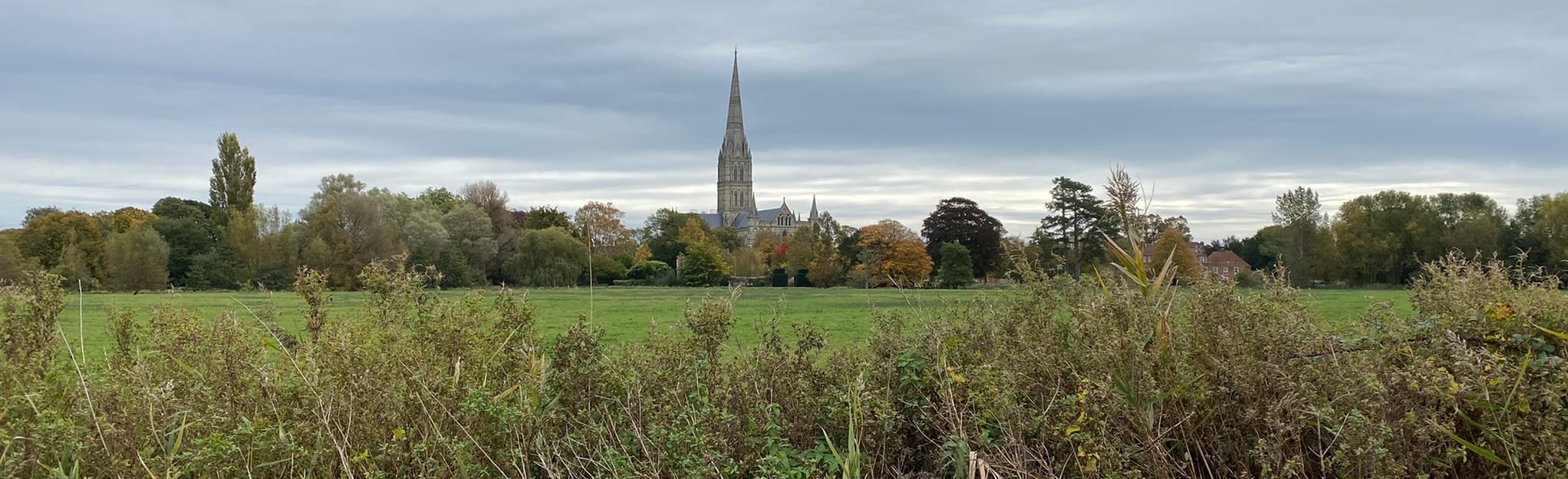 River Nadder Trail, Wiltshire, England - 57 Reviews, Map | AllTrails