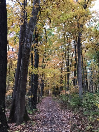 Best Hikes and Trails in Brukner Nature Center | AllTrails