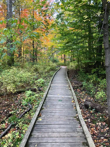 Best Hikes and Trails in Joe Sams Park | AllTrails