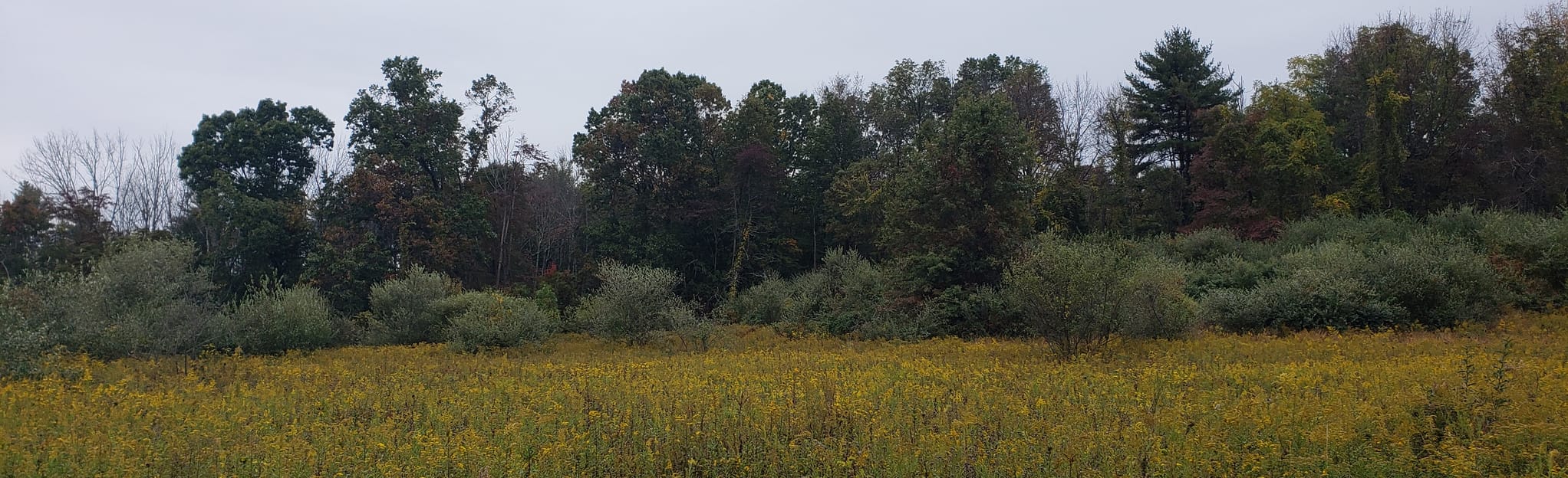 Round Mountain via Deer Path Park, New Jersey - 36 Reviews, Map | AllTrails