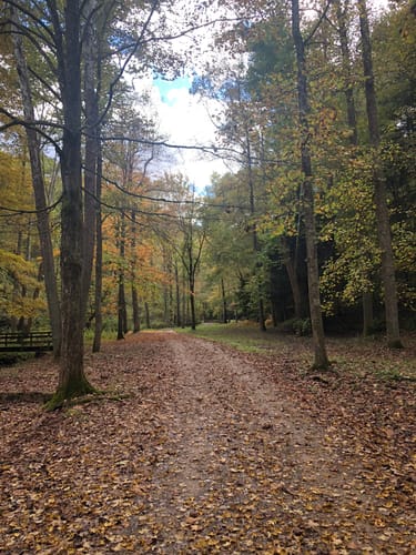 2023 Best 10 Walking Trails in Kanawha State Forest | AllTrails