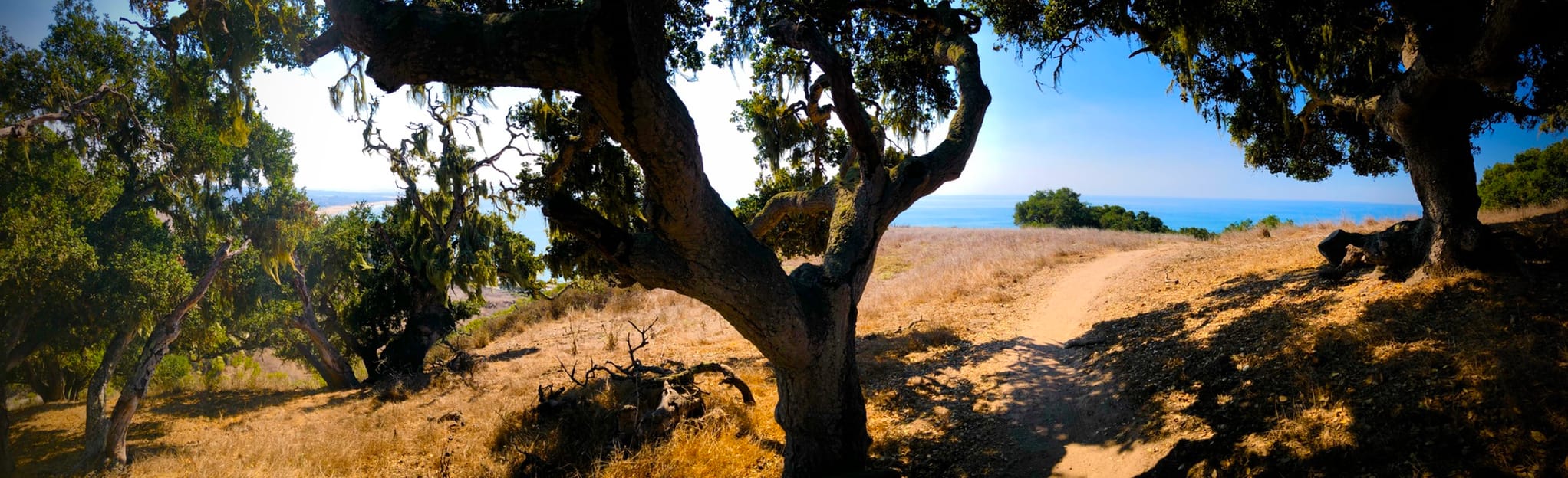 Discovery and Panhandle Trails, California - 273 Reviews, Map | AllTrails