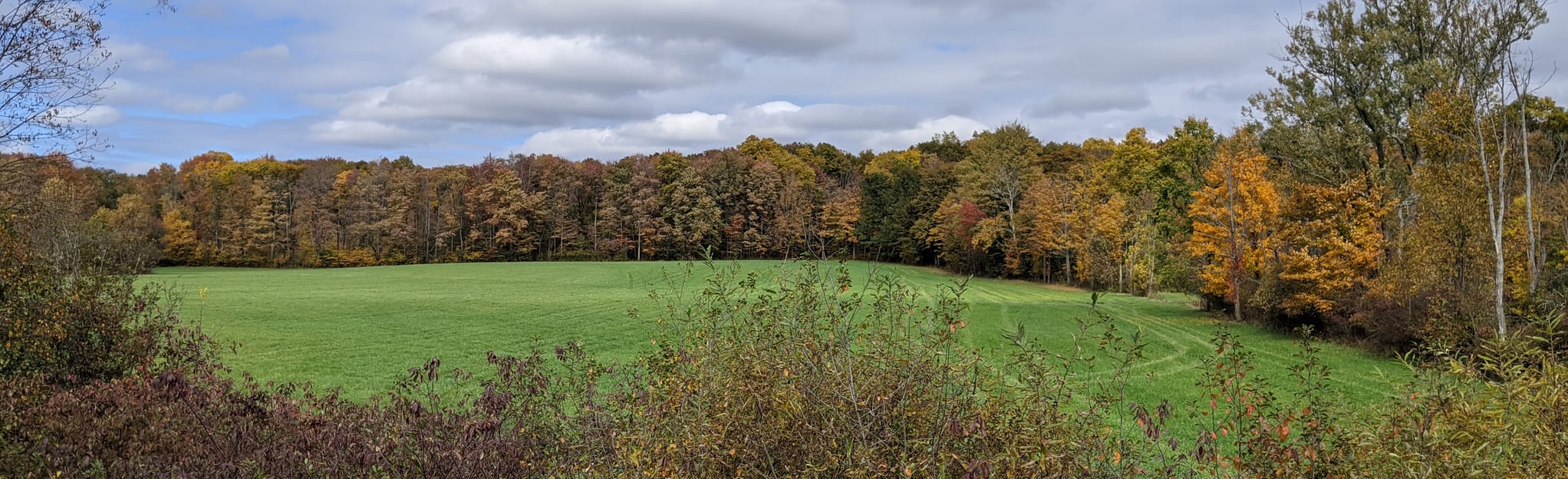 Maple Highlands Trail, Ohio - 212 Reviews, Map | AllTrails