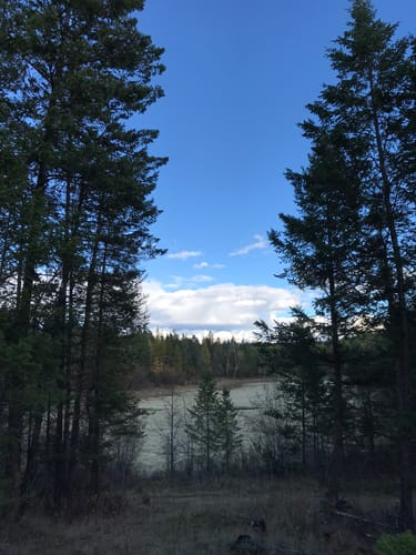 2023 Best Long Trails in Cranbrook Community Forest Recreation Site ...