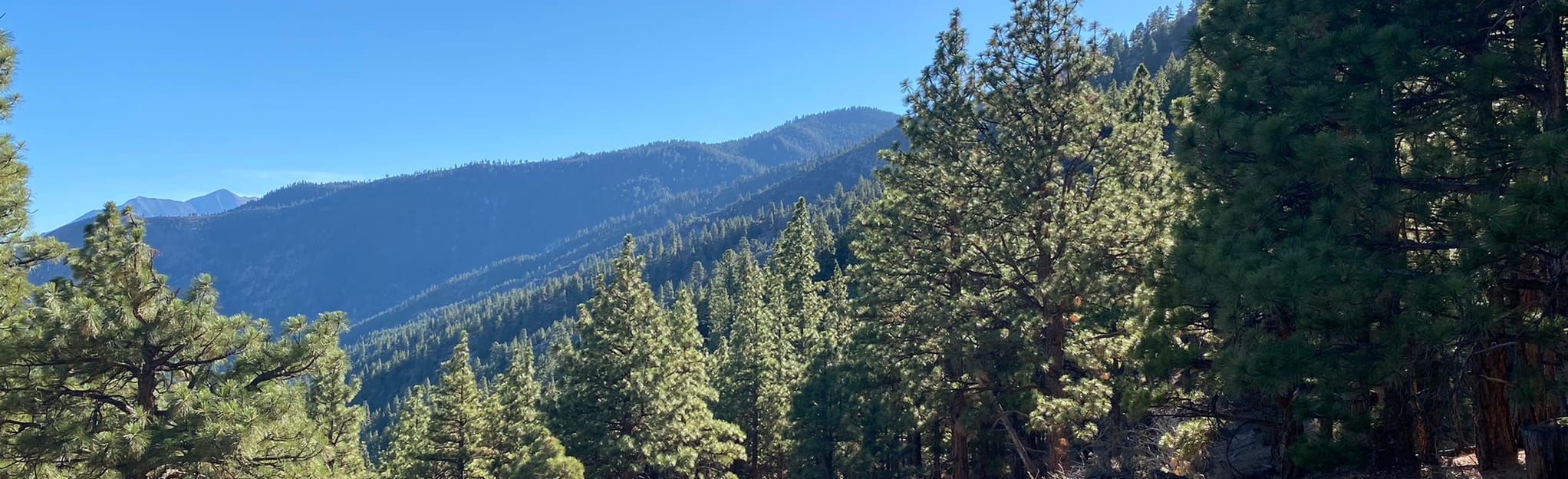 Eagle Ridge Trail, Nevada - 602 Reviews, Map | AllTrails