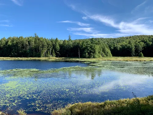 10 Best Hikes and Trails in Lake George Wild Forest | AllTrails