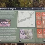 Switzer Canyon Trail West, California - 115 Reviews, Map | AllTrails