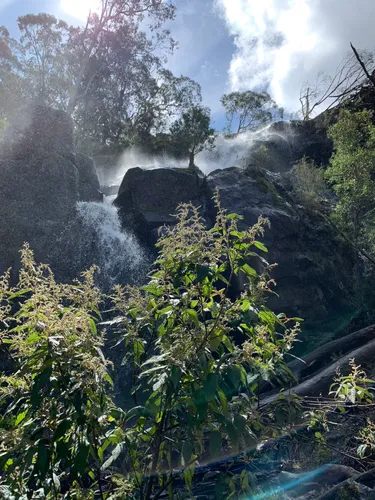 Best Hikes and Trails in Mount Samaria State Park | AllTrails