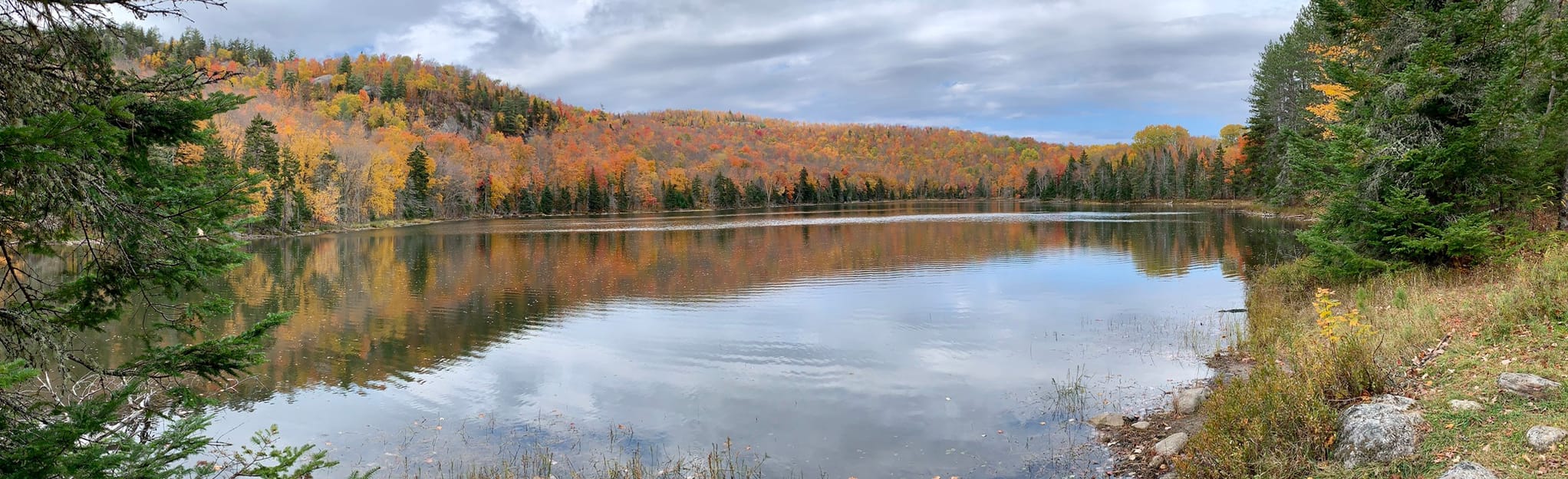 John Pond and Clear Pond Loop: 112 Reviews, Map - New York | AllTrails