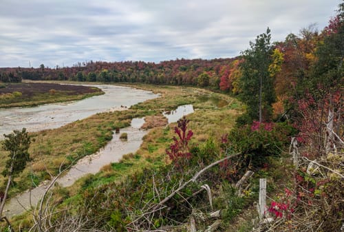 2023 Best Forest Trails in Goderich | AllTrails