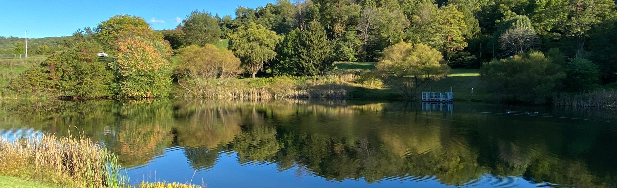 Compton Gap Loop: 167 Reviews, Map - Virginia | AllTrails