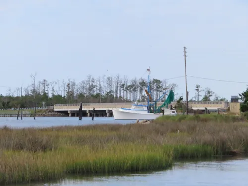 Best Hikes and Trails in Cedar Island | AllTrails