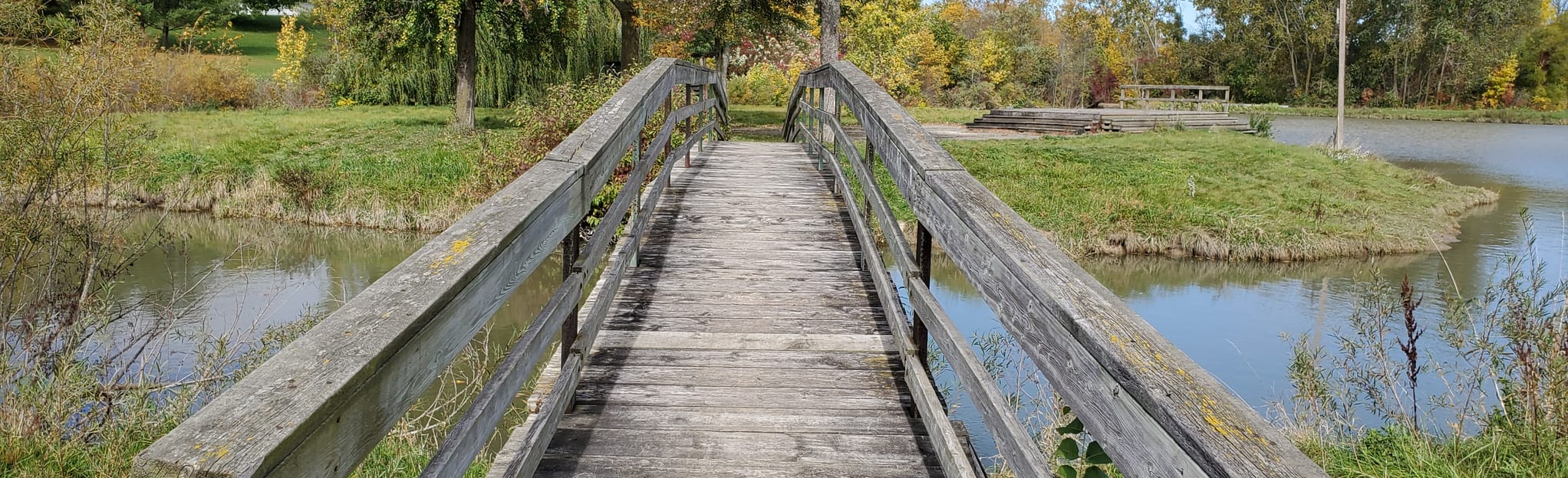 Forest Walkway Trail: 10 foto - Ontario, Canada | AllTrails