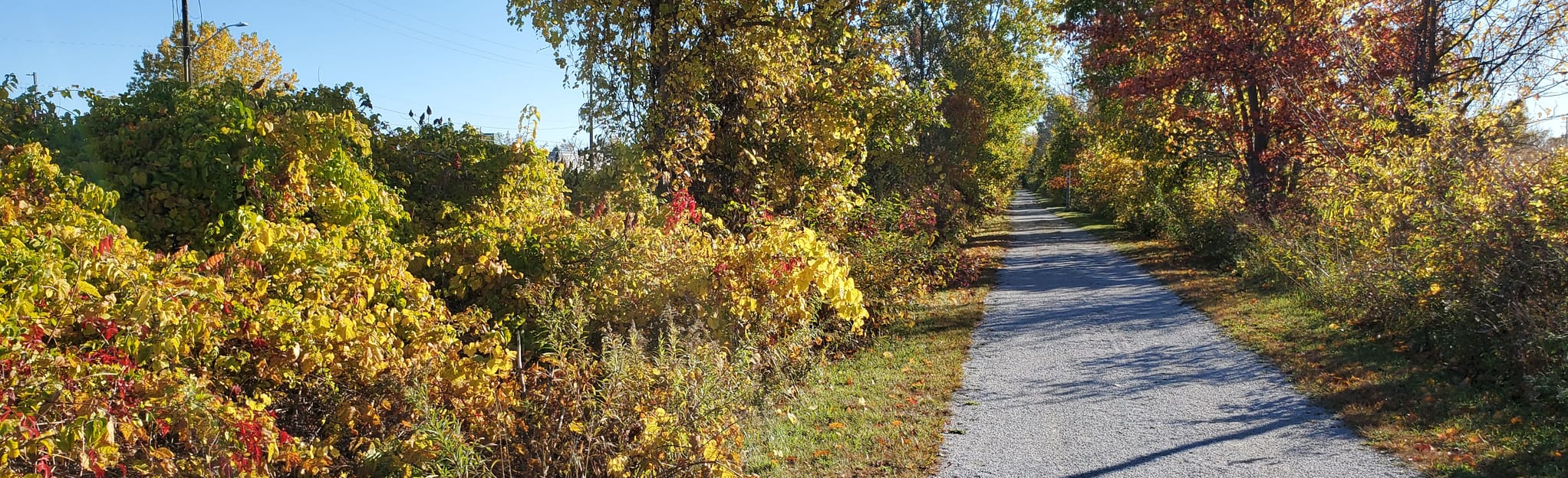 Howard Watson Trail: 22 Reviews, Map - Ontario, Canada | AllTrails