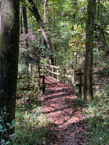 Best Hikes and Trails in Huntersville Athletic Park and Recreation ...